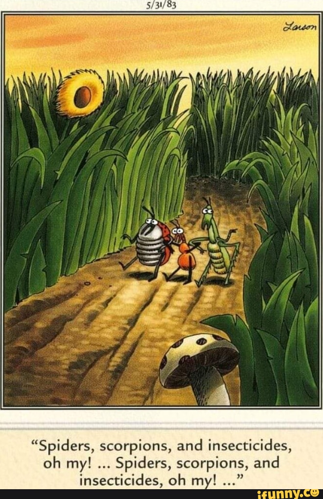 Insecticides memes. Best Collection of funny Insecticides pictures on ...