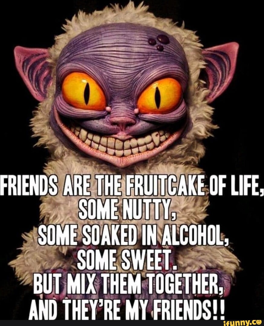 Fruitcake memes. Best Collection of funny Fruitcake pictures on iFunny