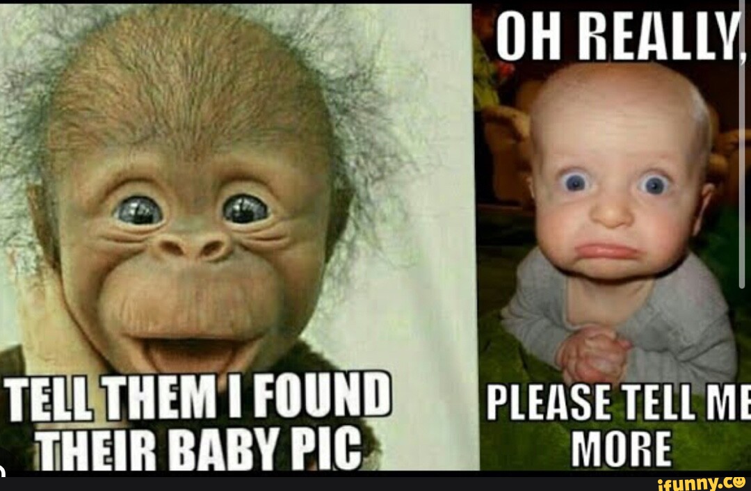 Oh Really Tell Me More Meme