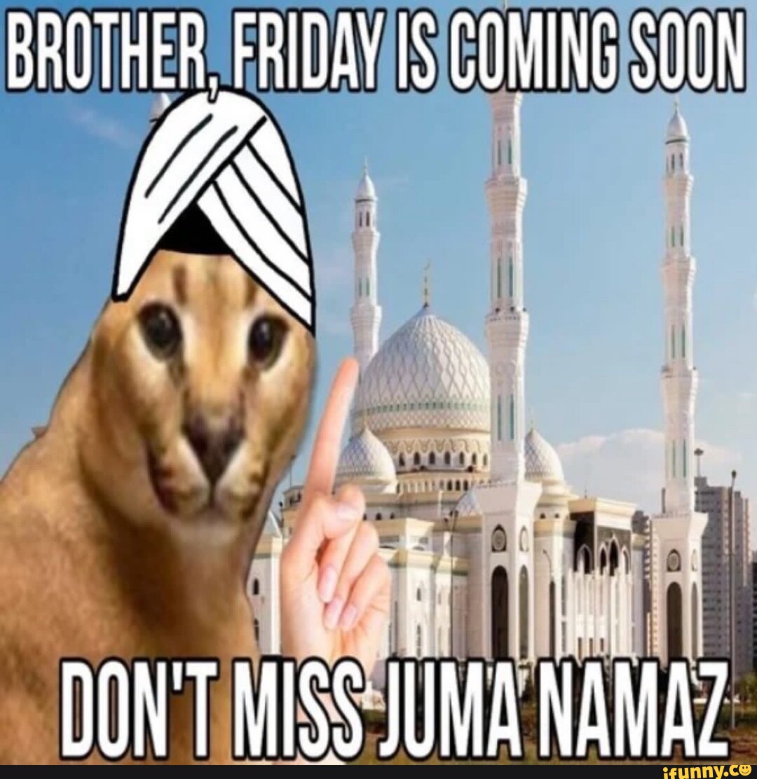 BROTHER, FRIDAY IS COMING SOON I HONT MISS JUME NAMAZ - iFunny