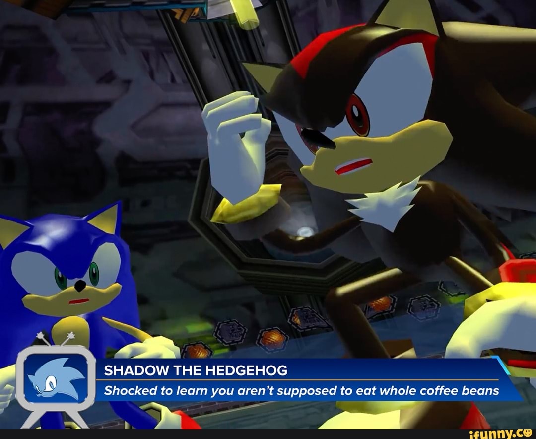 SHADOW THE HEDGEHOG Shocked to learn you aren't supposed to eat whole ...