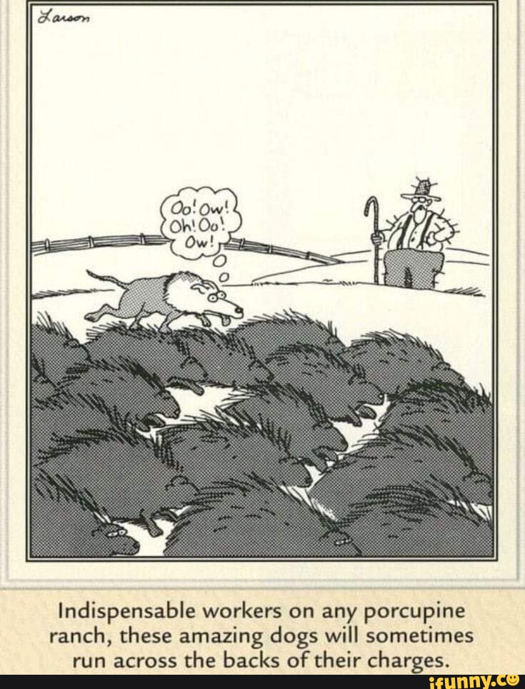 Indispensable memes. Best Collection of funny Indispensable pictures on ...