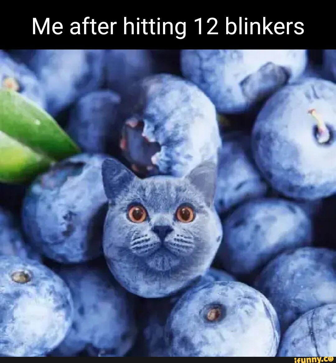 Blinkers memes. Best Collection of funny Blinkers pictures on iFunny