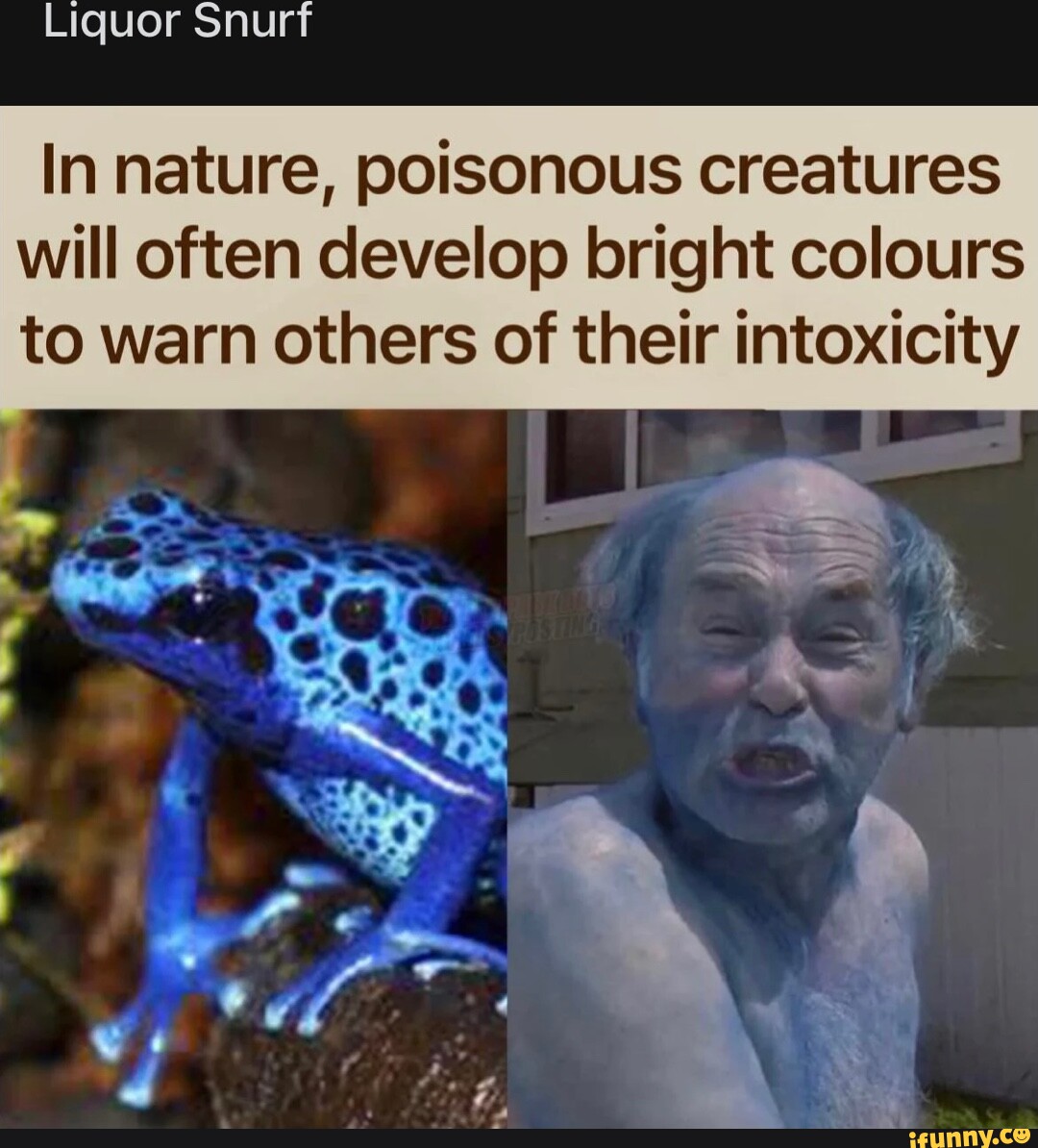 Trailer_park_boys memes. Best Collection of funny Trailer_park_boys ...