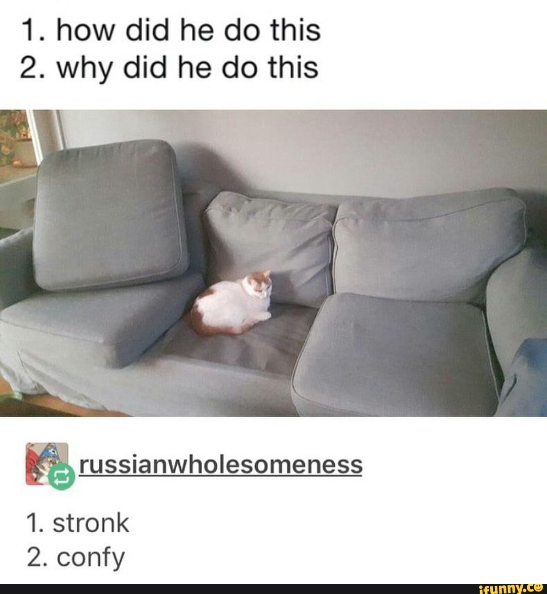 1. how did he do this 2. why did he do this 1. stronk 2. confy - iFunny Brazil