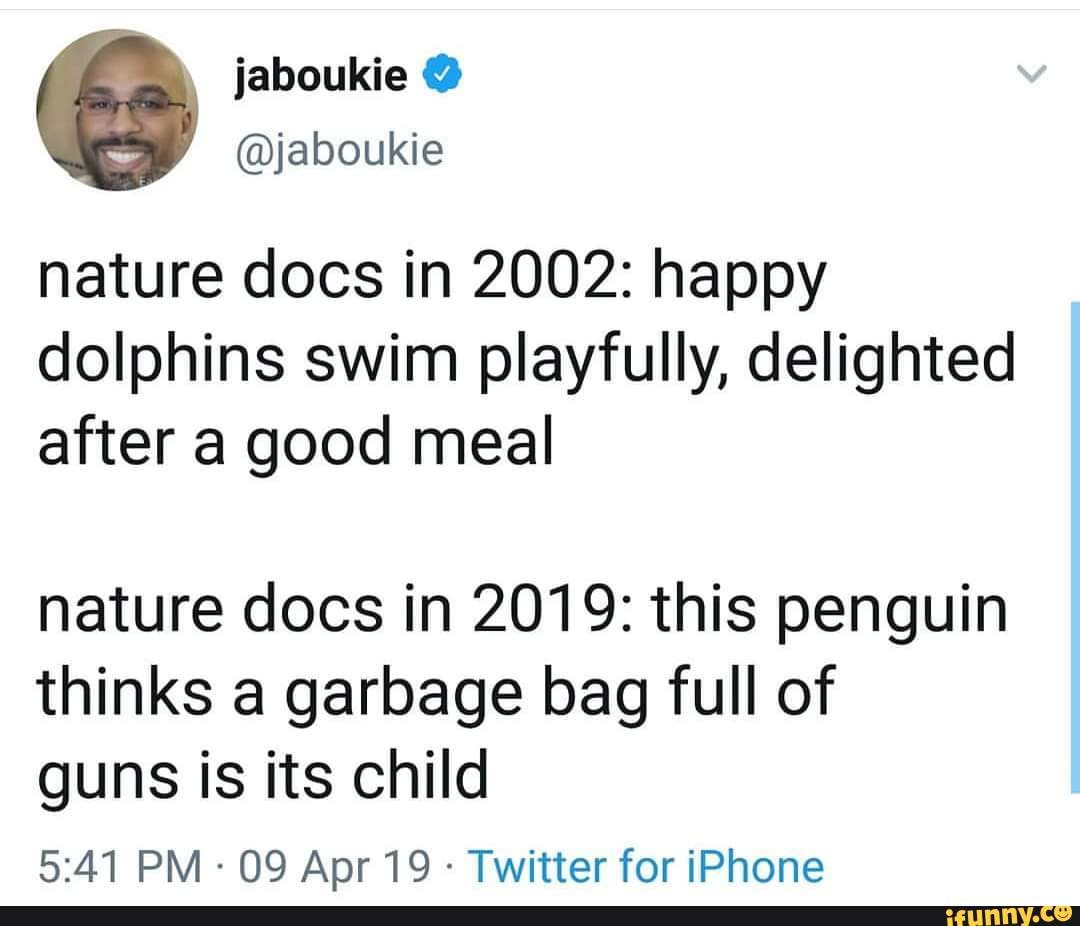 Nature docs in 2002: happy dolphins swim playfully, delighted after a ...