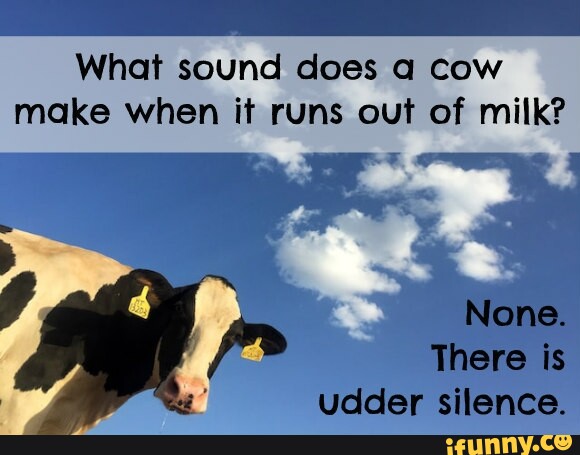 What sound does a cow make when it runs out of milk? None. There is ...