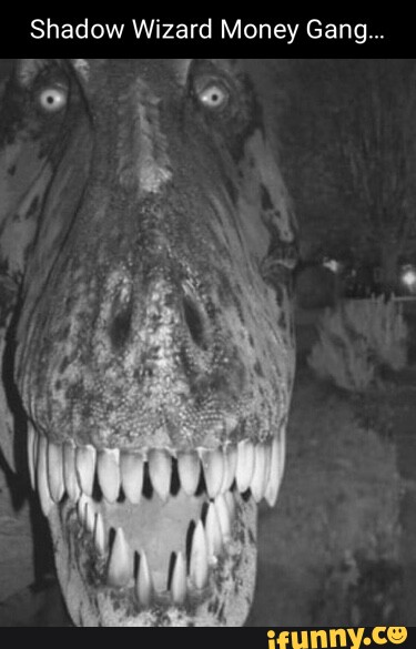 Shadow Wizard Money Gang... - iFunny