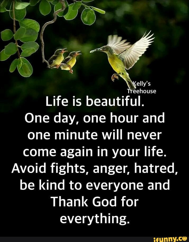 Treehouse memes. Best Collection of funny Treehouse pictures on iFunny