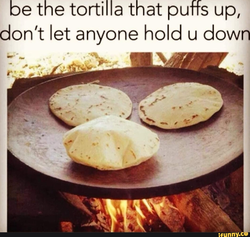 Tortilla memes. Best Collection of funny Tortilla pictures on iFunny