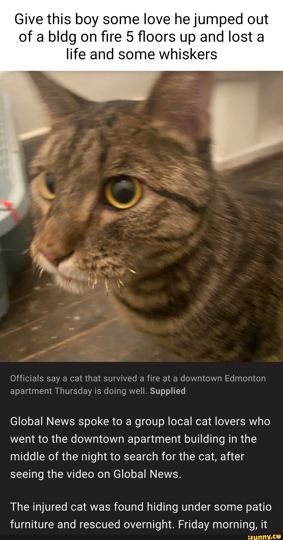 Edmonton memes. Best Collection of funny Edmonton pictures on iFunny