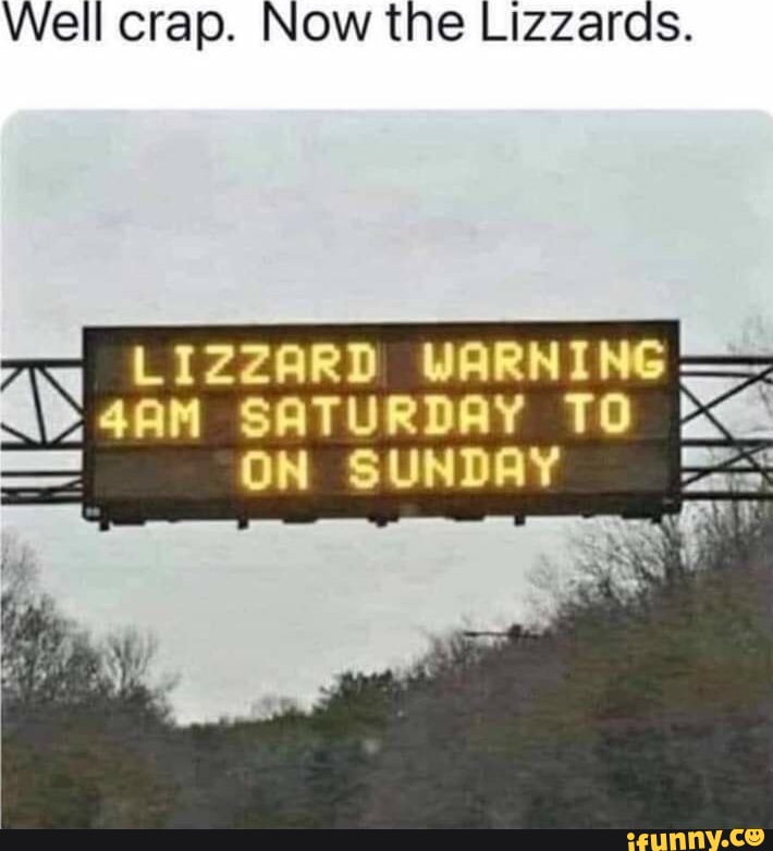 Well crap. Now the Lizzards. LIZZARD WARNING SATURDAY TO ON SUNDAY - iFunny