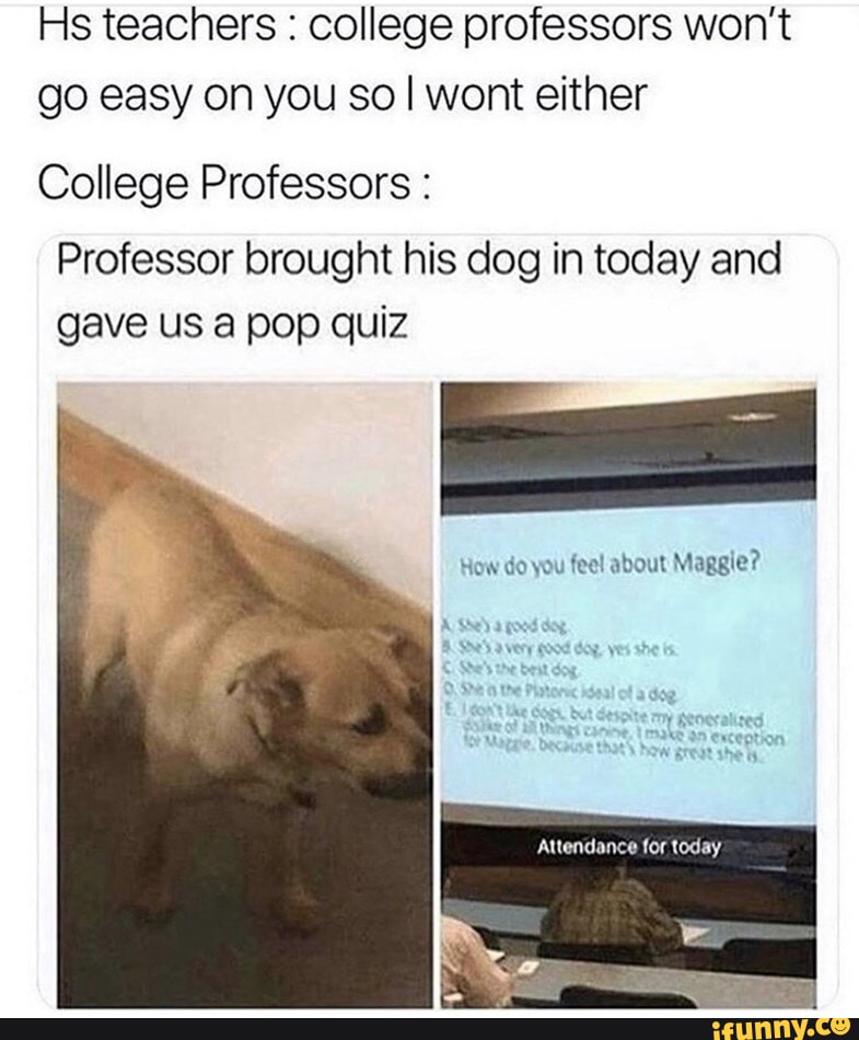 Dog Professor Memes