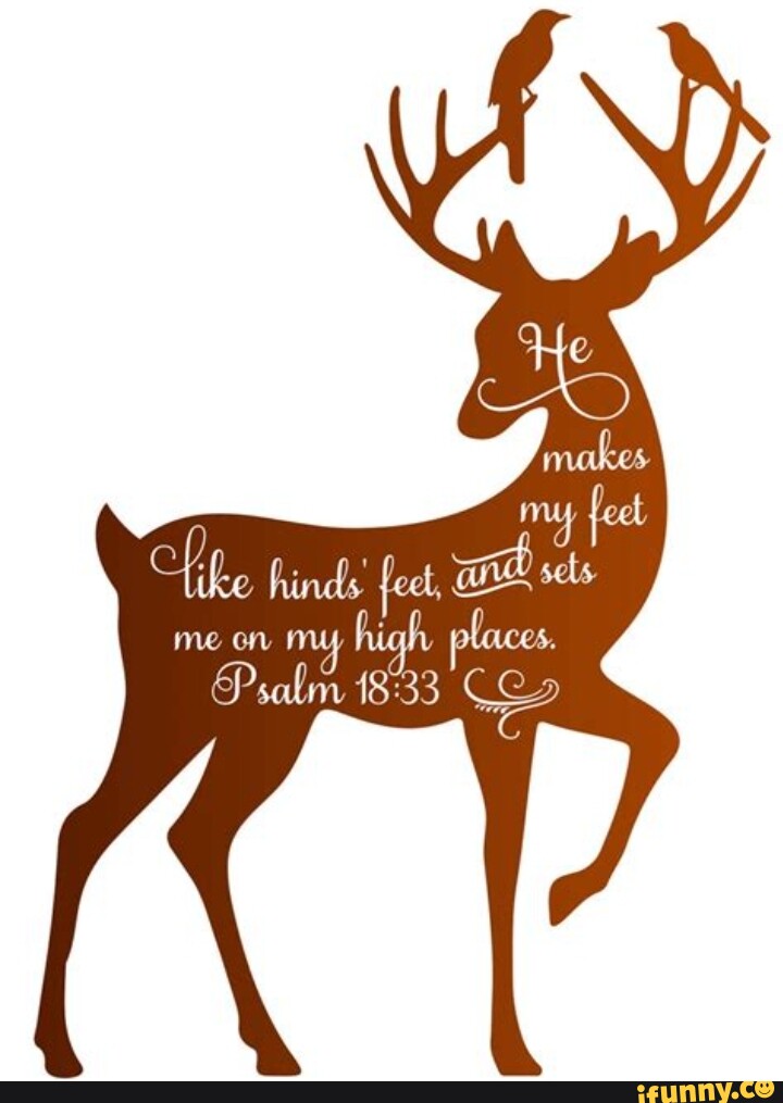 My hinds: feet, sel me on my hi laces. Psalm (833 - iFunny