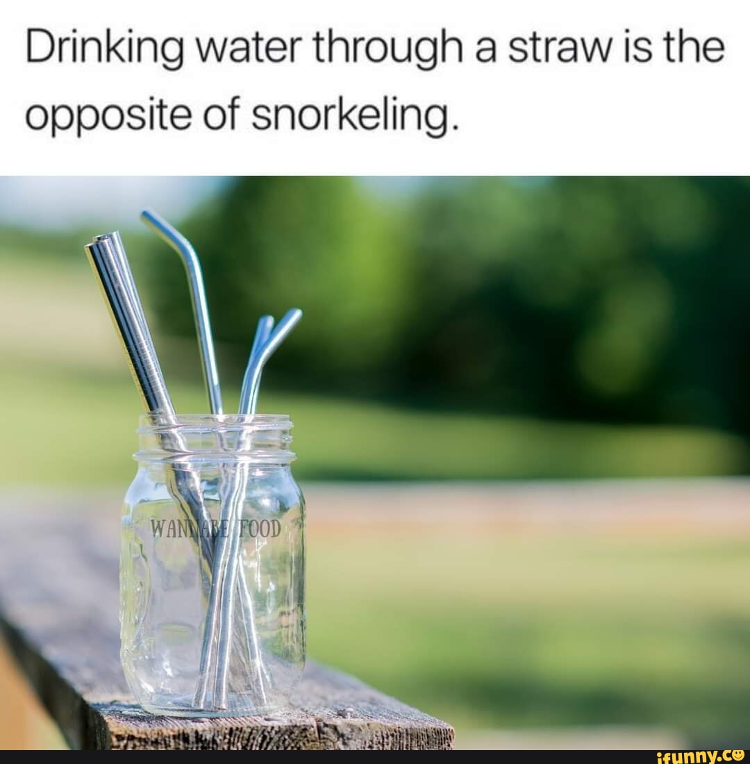 Snorkeling memes. Best Collection of funny Snorkeling pictures on iFunny