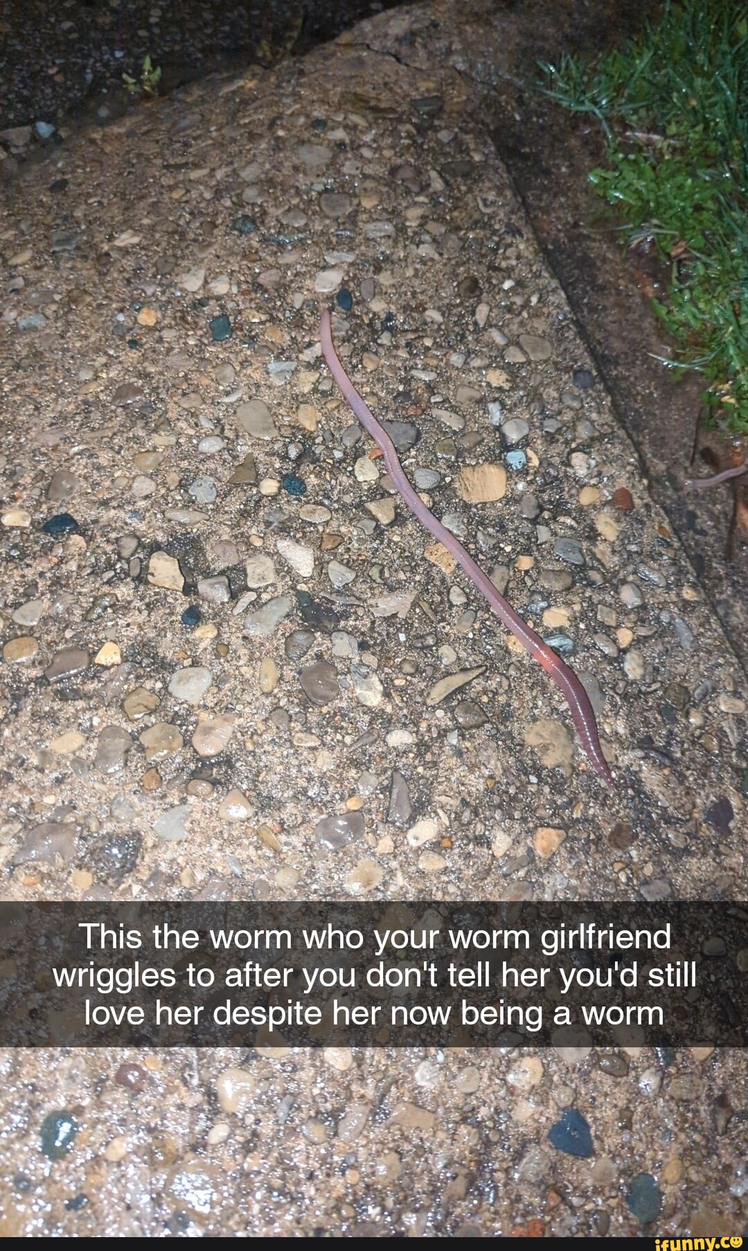 This the worm who your worm girlfriend wriggles to after you don't tell her you'd still love her ...