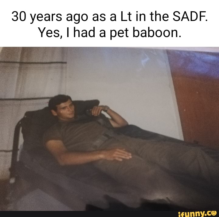 Sadf memes. Best Collection of funny Sadf pictures on iFunny