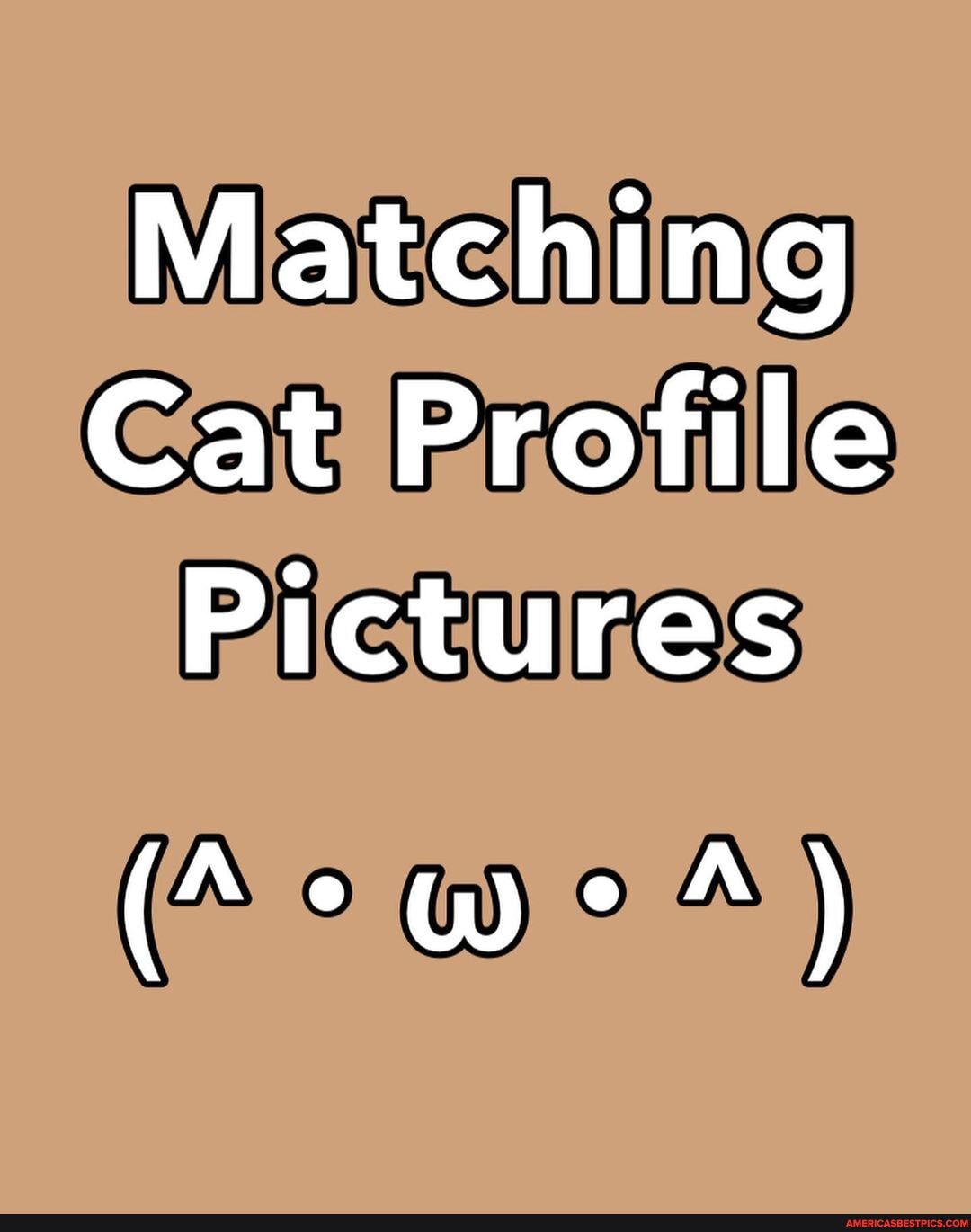 Matching Cat Profile Pictures - America’s best pics and videos