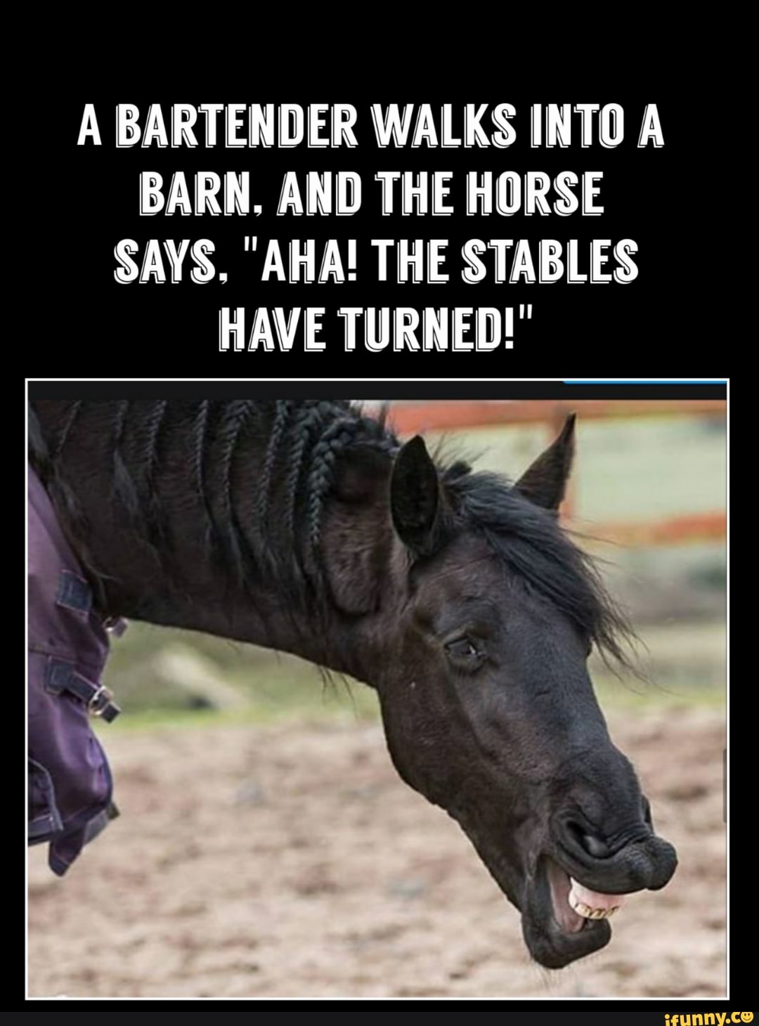 Horsejokes memes. Best Collection of funny Horsejokes pictures on iFunny
