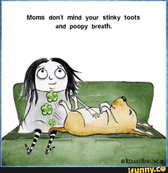 Moms don't mind your stinky toots and poopy breath. - iFunny