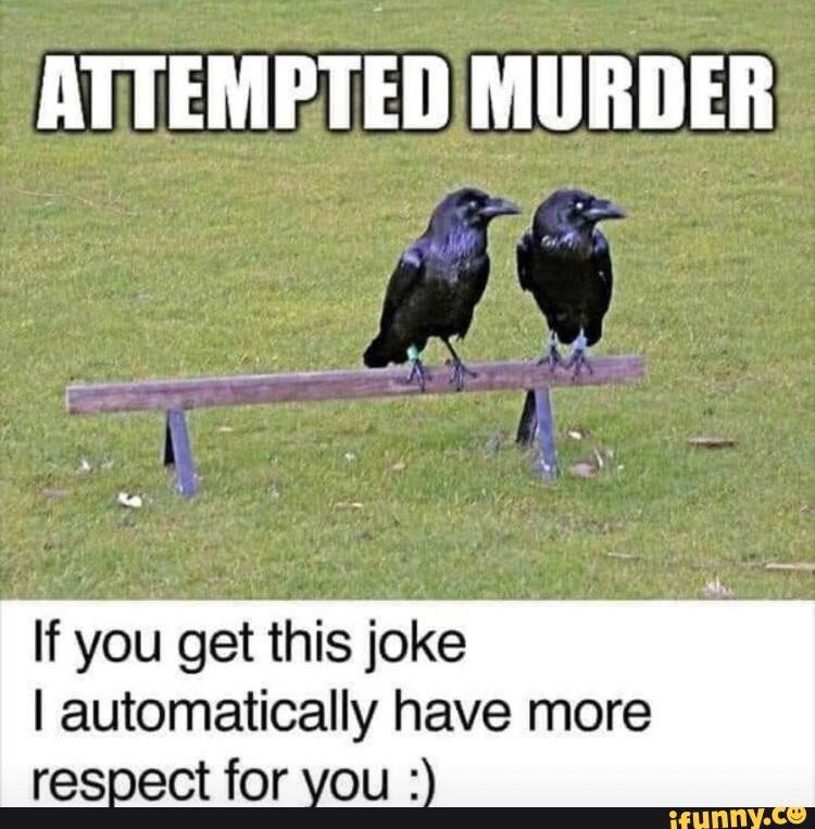 ATTEMPTED MURDER If you get this joke for I automatically have more ...