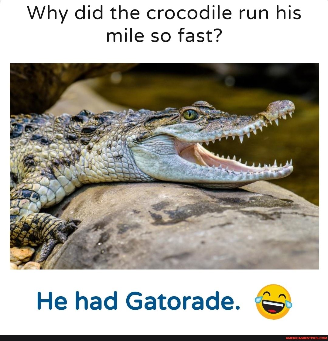 Why did the crocodile run his mile so fast? He had Gatorade. - America ...