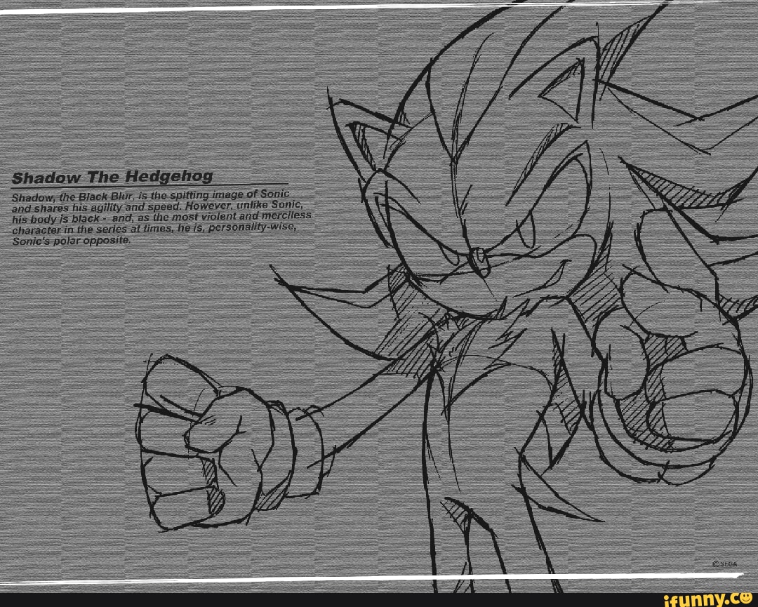 Shadow The Hedgehog Shadow; the Black Bhir, is the -spitting image of ...