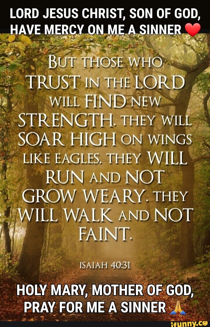 Soar memes. Best Collection of funny Soar pictures on iFunny