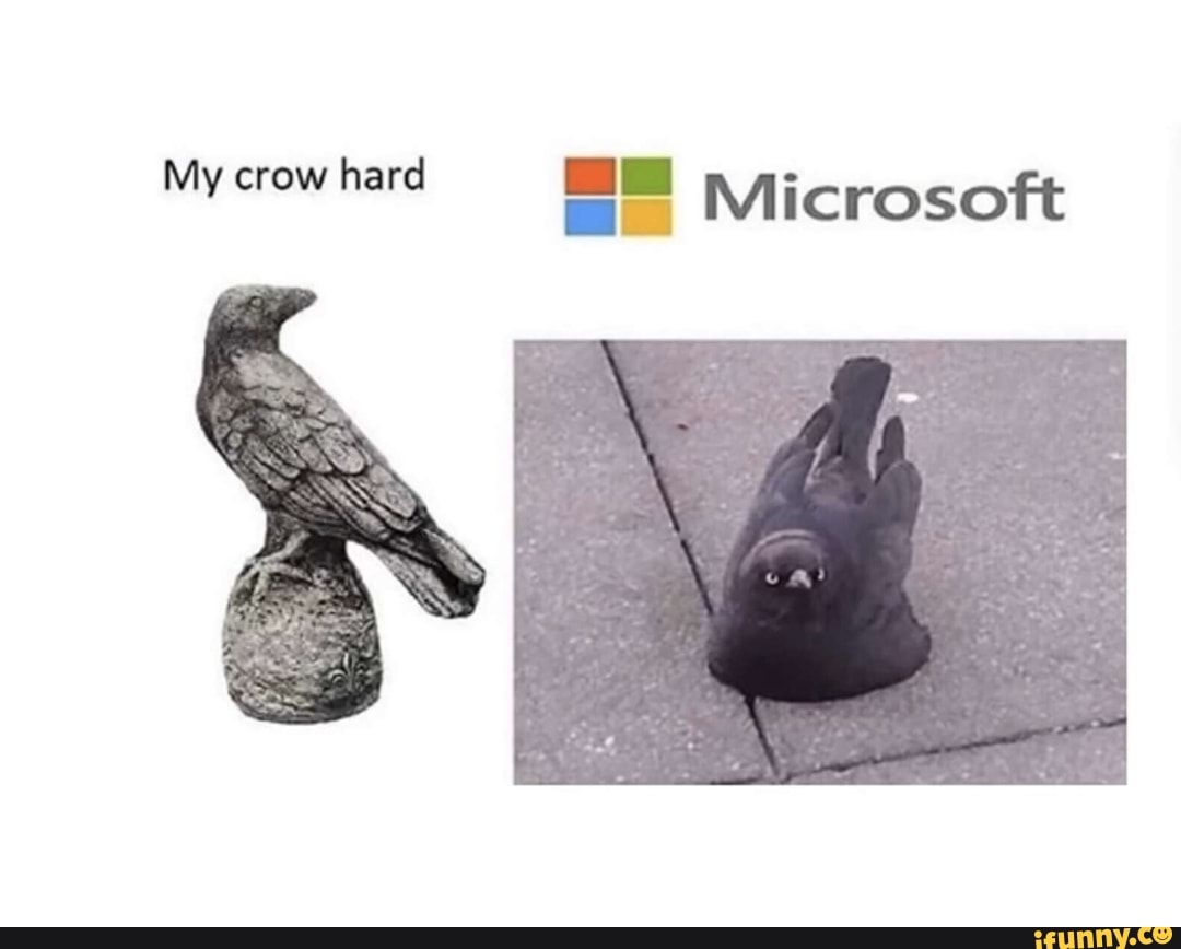 My crow hard - == Microsoft - iFunny