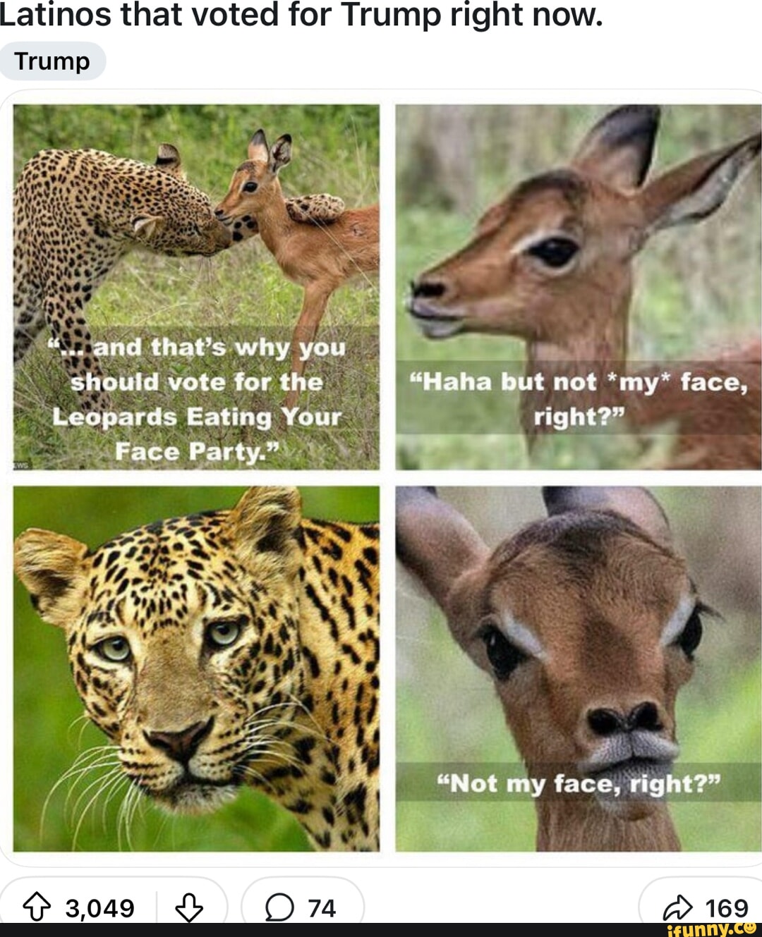 Atinos that voted for Trump right now. Trump "Haha but not *my" face ...