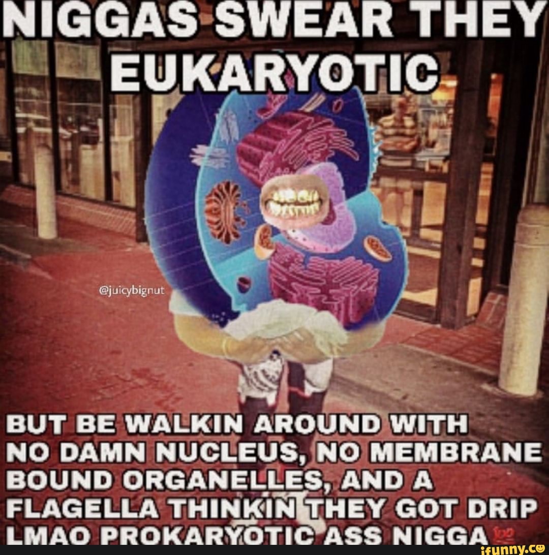 Prokaryote memes. Best Collection of funny Prokaryote pictures on iFunny