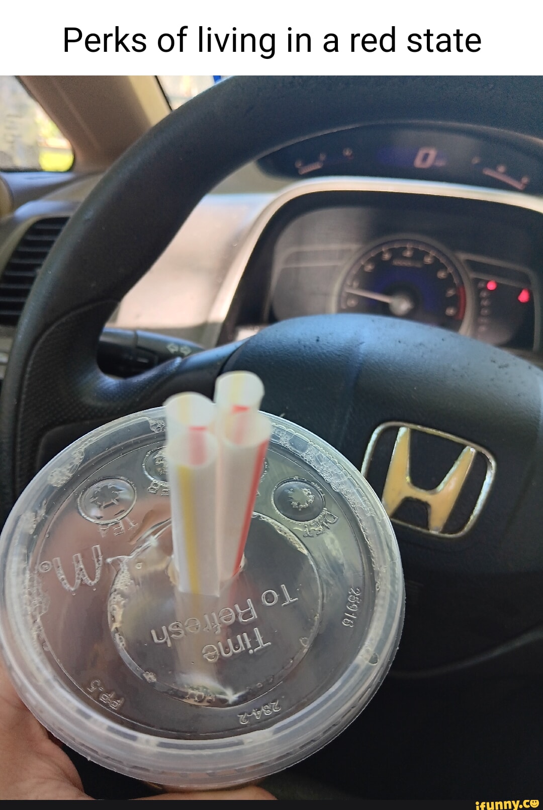 Harpactognathus, from the Late Jurassic Morrison Formation of the USA ...