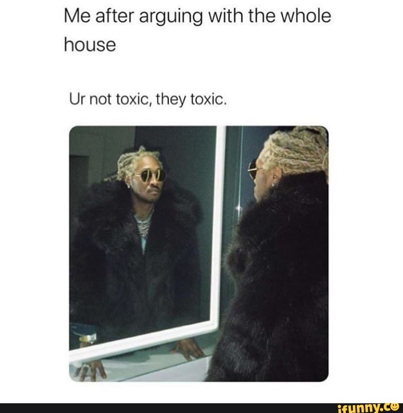 Me after arguing with the whole house Ur not toxic, they toxic. - iFunny