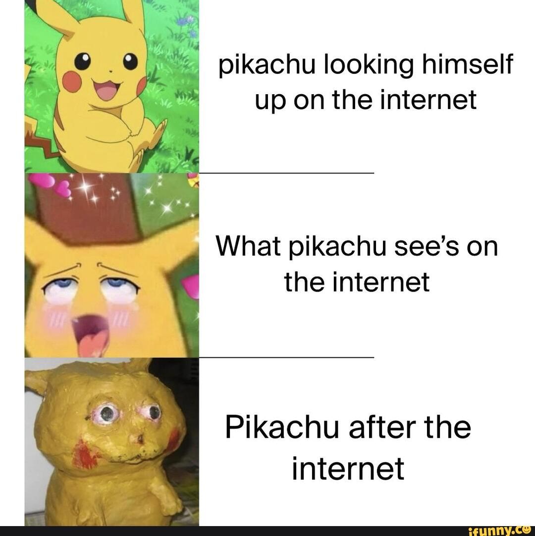 Pikachu looking himself up on the internet What pikachu see's on the ...