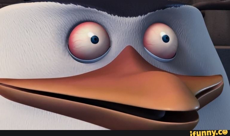 Skipper memes. Best Collection of funny Skipper pictures on iFunny