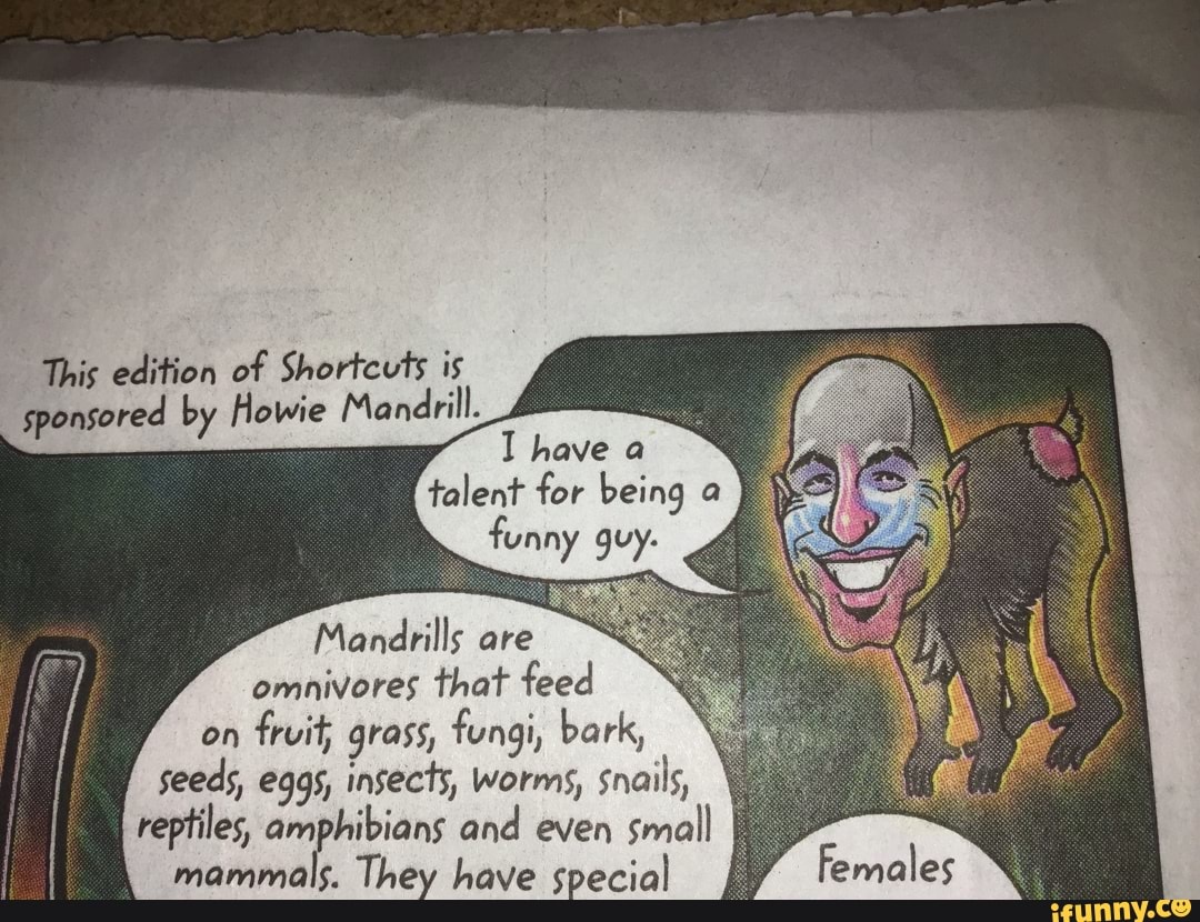 Mandrills memes. Best Collection of funny Mandrills pictures on iFunny