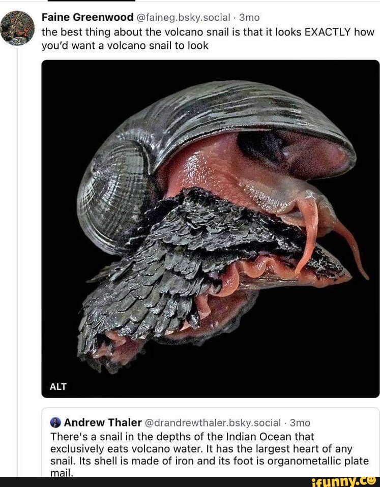 Faine Greenwood @faineg.bsky.social - the best thing about the volcano ...