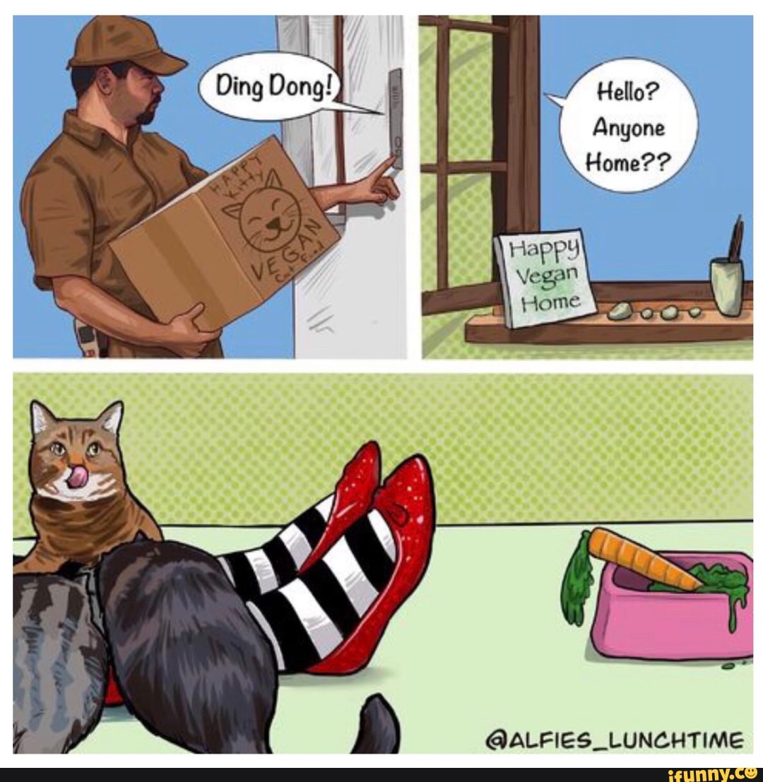 Ding Dong! Hello? Anyone Home?? @AL - iFunny