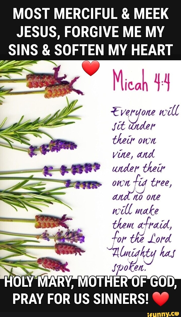 Most Merciful And Meek Jesus Forgive Me My Sins Soften My Heart Micah 44 Everyone Will Sit Wader