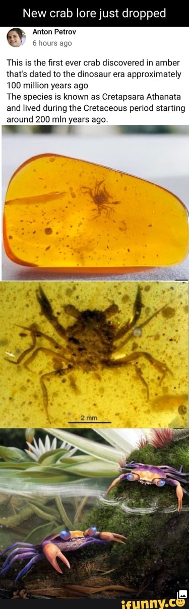 New crab lore just dropped Anton Petrov go ho This is the first ever ...