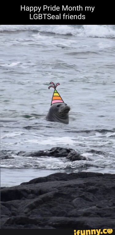 Happy Pride Month my LGBTSeal friends - iFunny