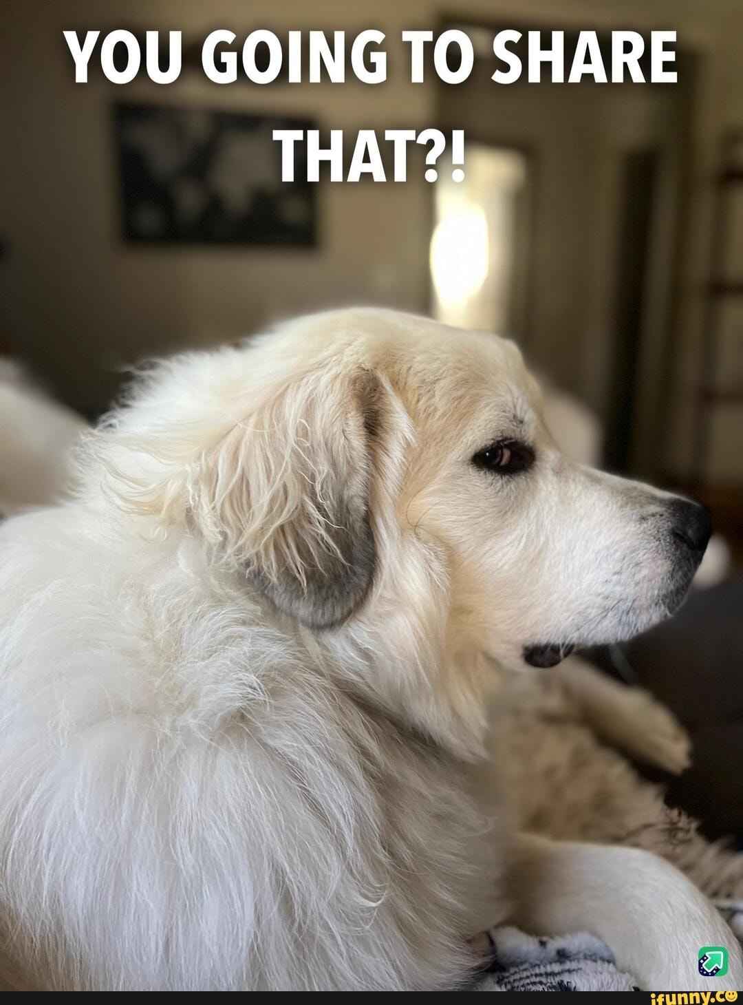 Sharing_is_caring memes. Best Collection of funny Sharing_is_caring ...