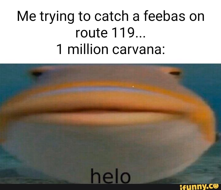 Feebas memes. Best Collection of funny Feebas pictures on iFunny