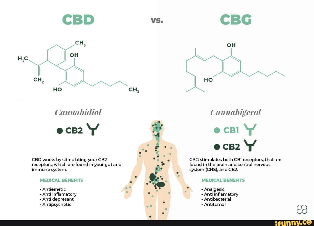 Receptors memes. Best Collection of funny Receptors pictures on iFunny