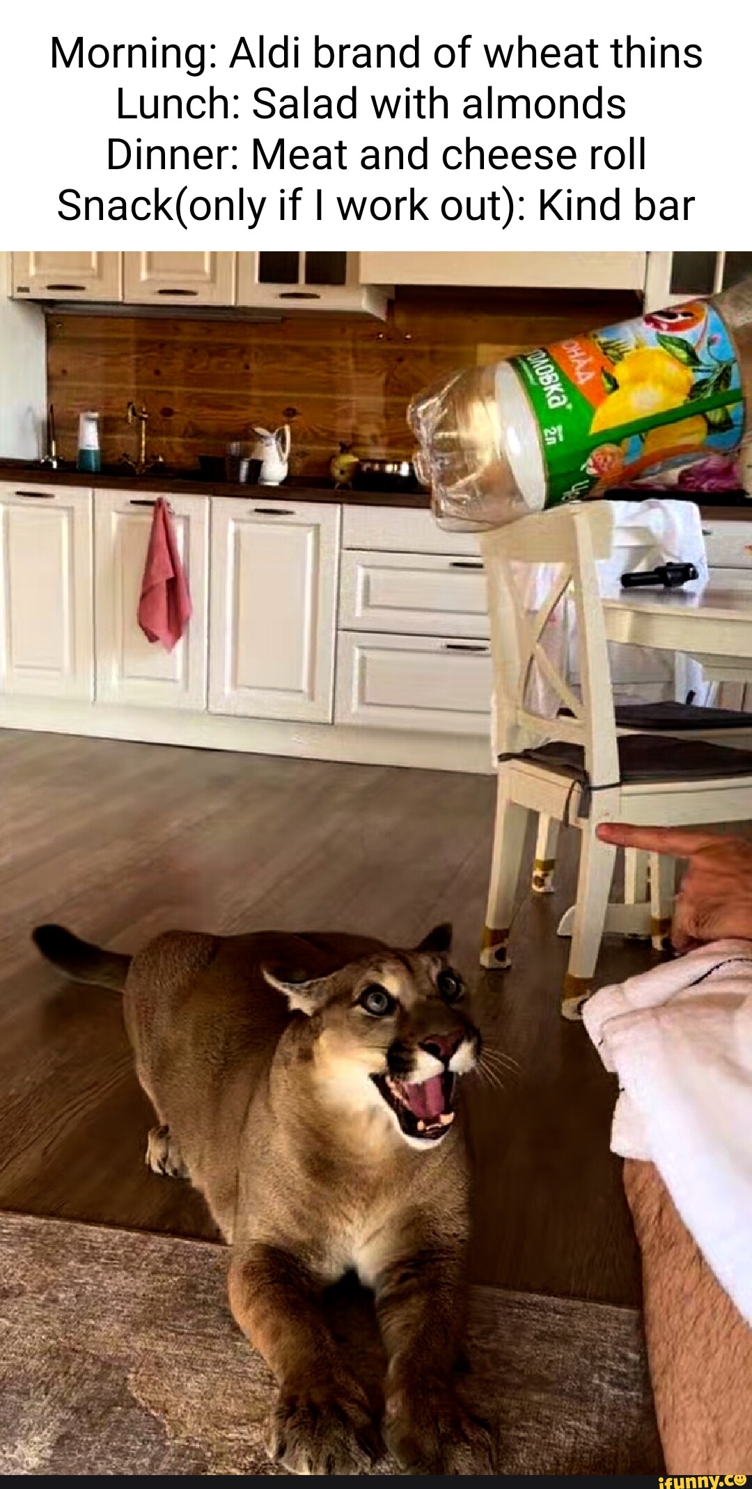 Aldi memes. Best Collection of funny Aldi pictures on iFunny