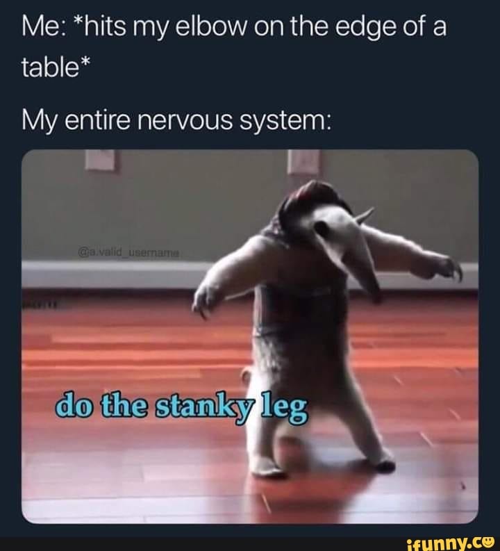 Me: *hits my elbow on the edge of a table“ My entire nervous system ...