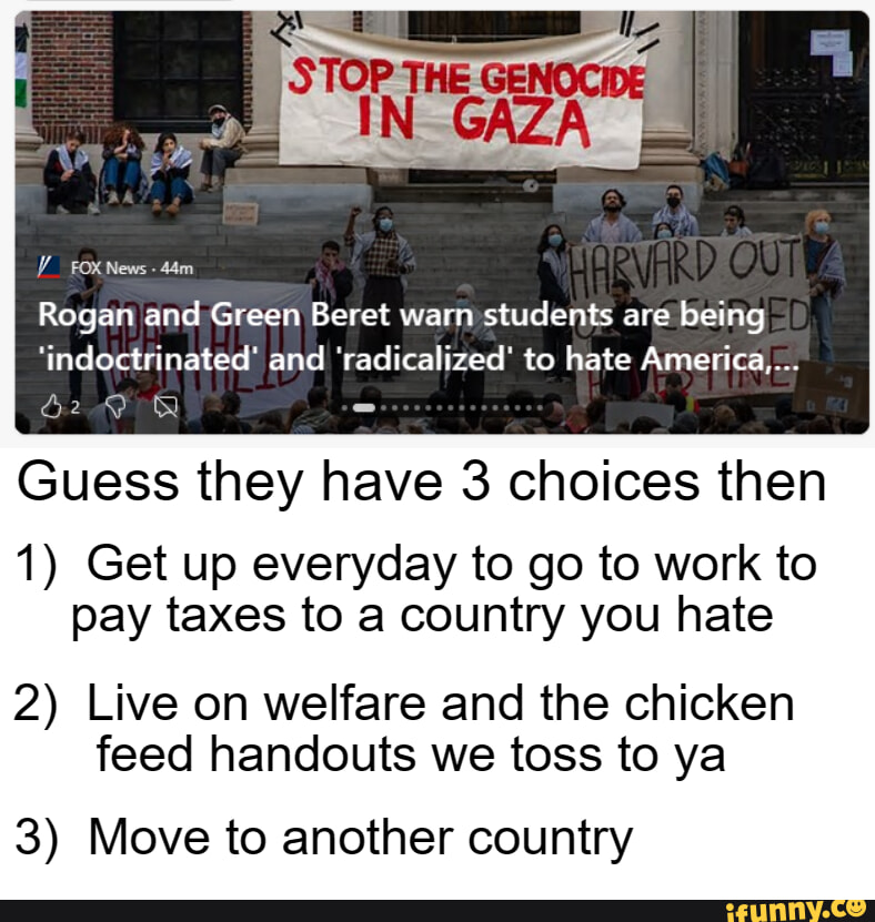 Beret memes. Best Collection of funny Beret pictures on iFunny