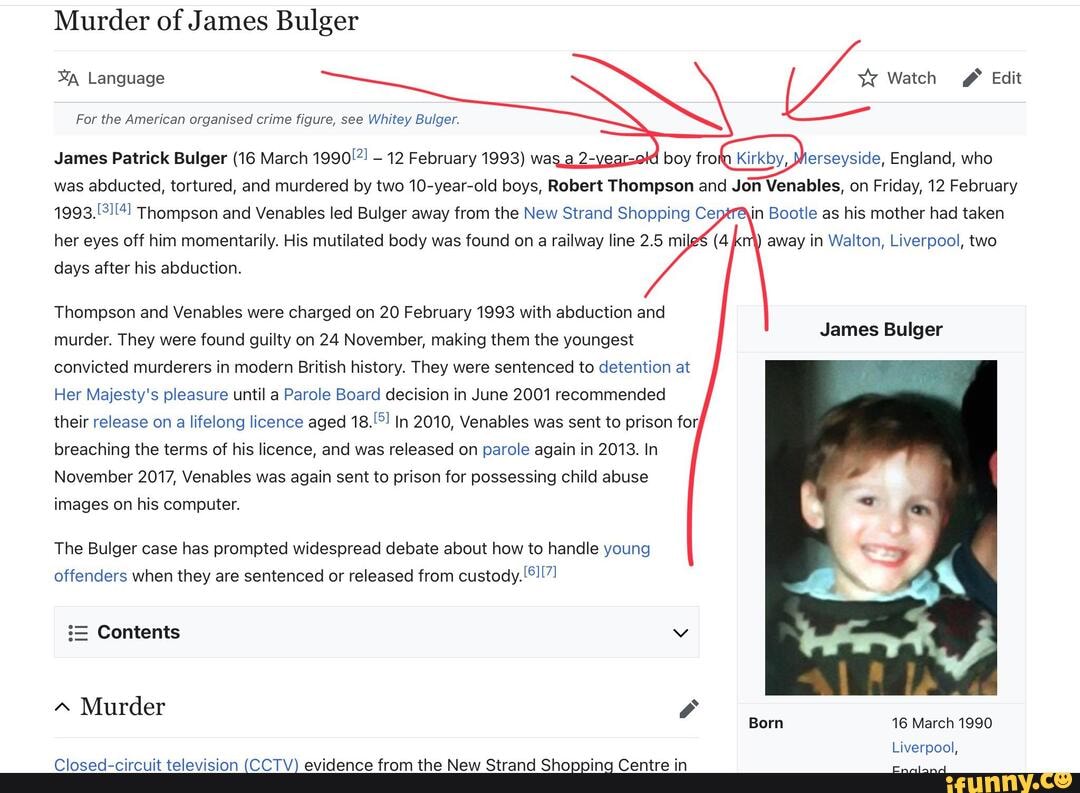 Murder Analysed The James Bulger Murder Case, England 1993, 45% OFF