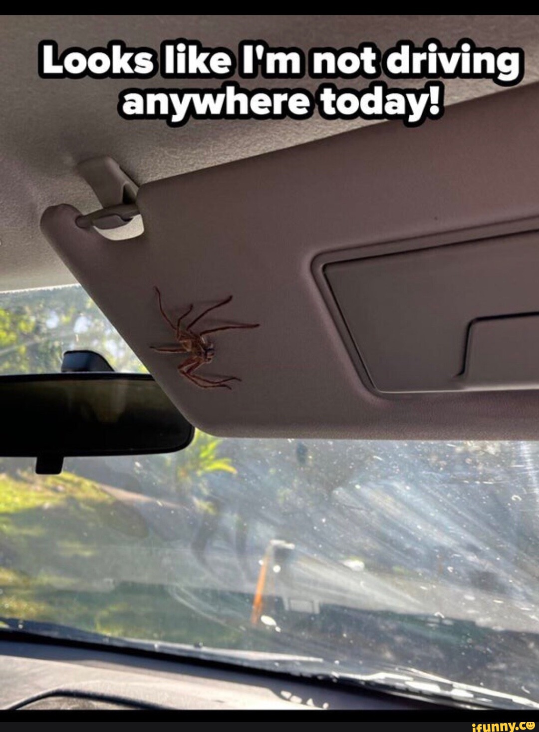 Looks like I'm not driving anywhere today! - iFunny