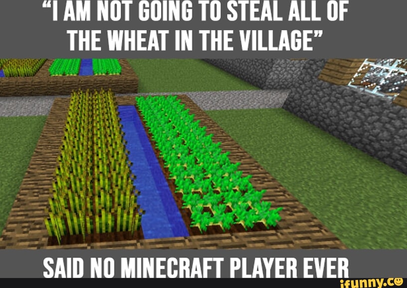 Wheat memes. Best Collection of funny Wheat pictures on iFunny